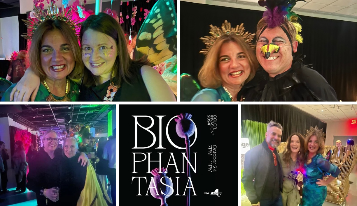 IIDA Color Invasion 2024 - Robin Reigi